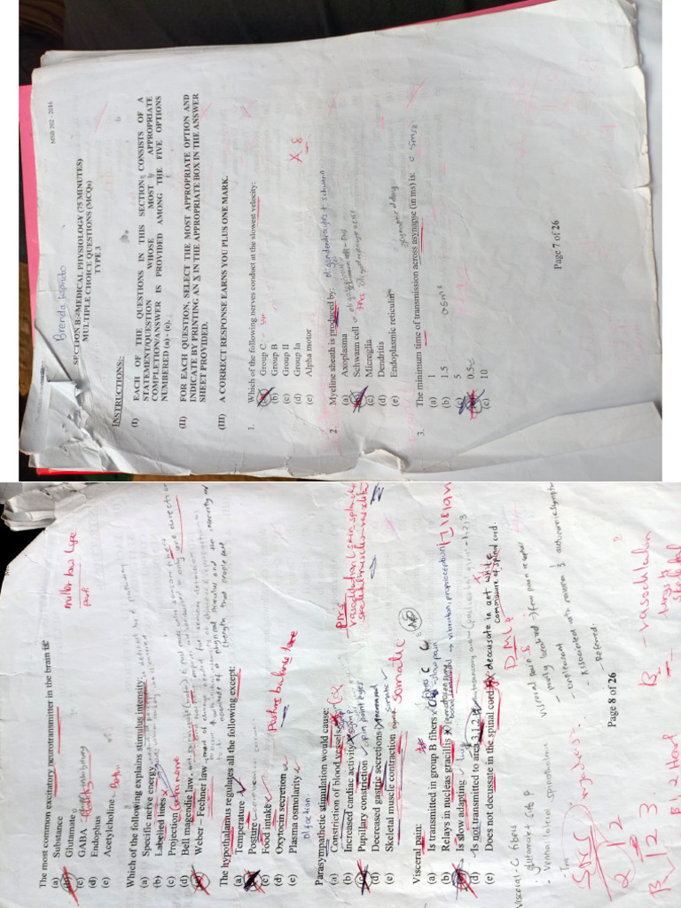 1 Paper 2016 CNS Anatomy and Physiology | PDF
