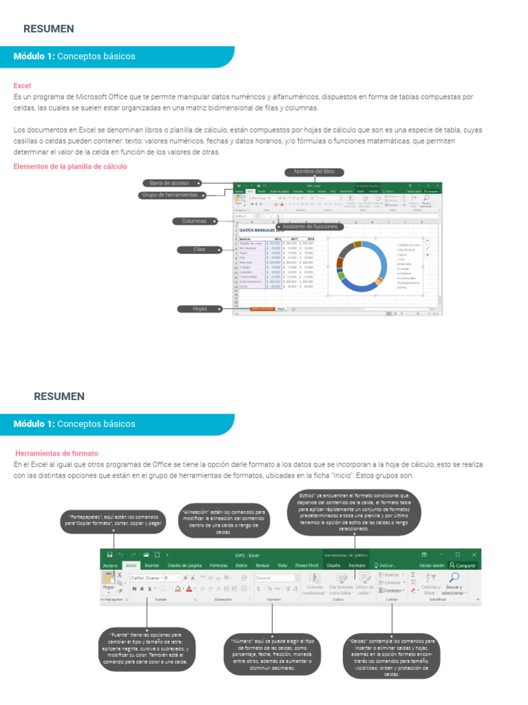 Resumen_M1 | PDF | Hoja de cálculo | Microsoft Excel