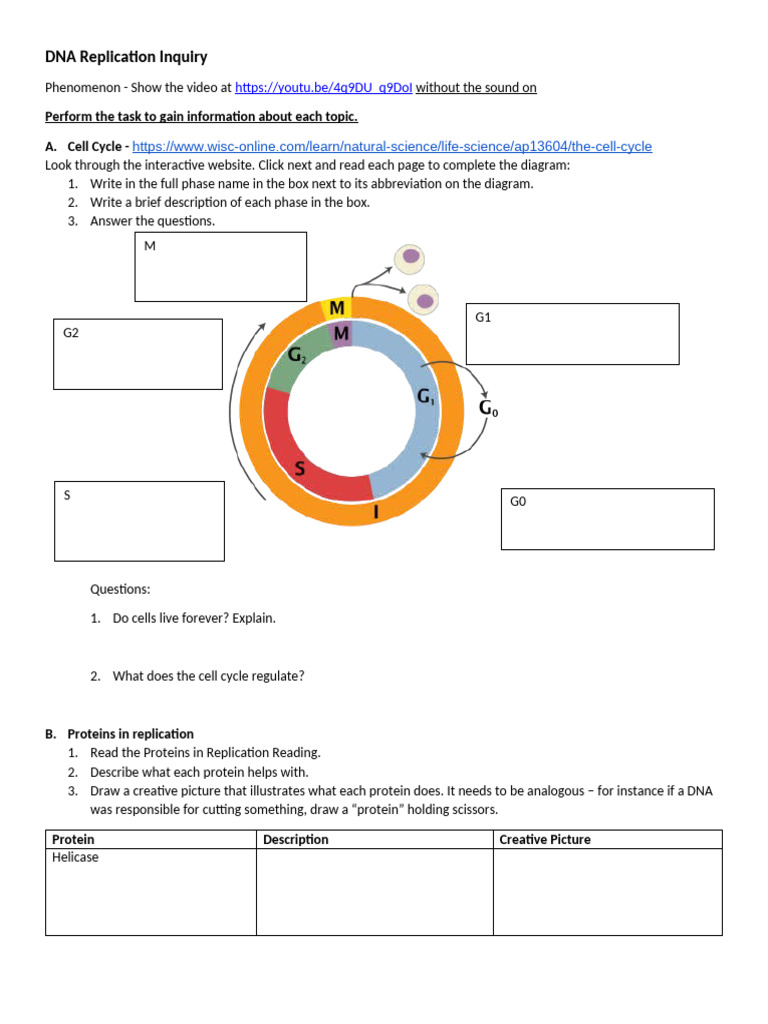 DNA Replication Inquiry(1) | PDF | Dna Replication | Dna