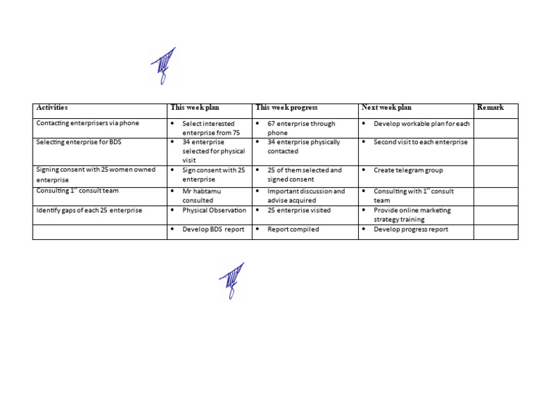 Weekly Update Report and Plan Sing_signed | PDF
