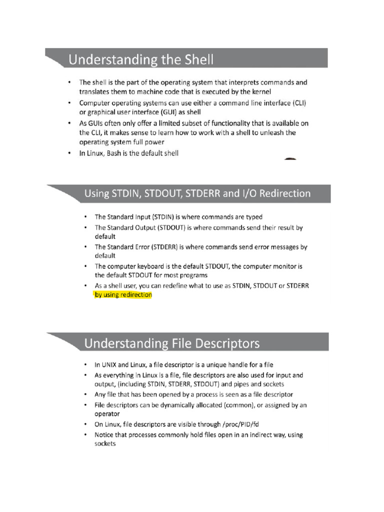 Understanding the Shell | PDF