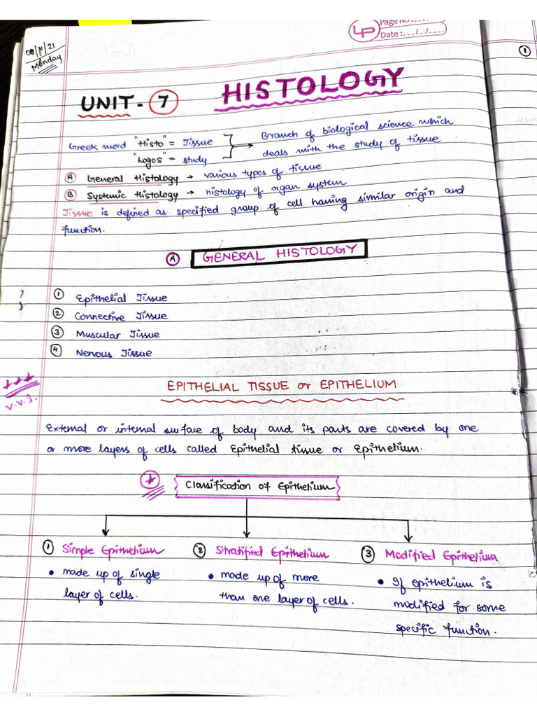 VETERINARY ANATOMY & HISTOLOGY Notes - Histology | PDF