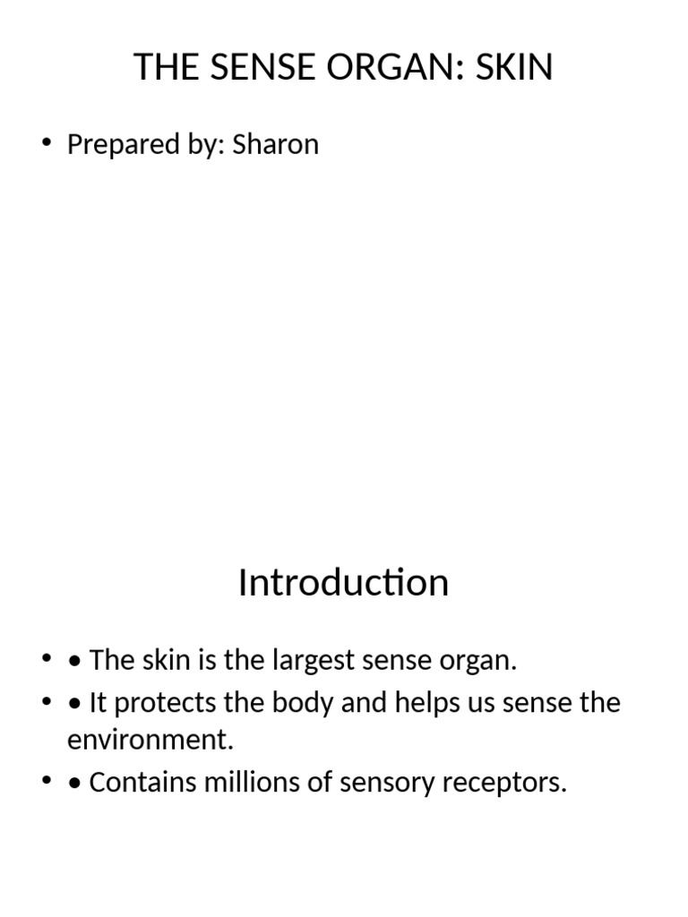 Functions and Care of Skin | PDF