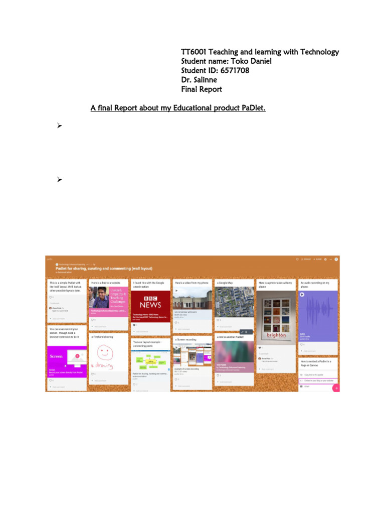 TT6001 Teaching and Learning With Technology Final Project | PDF ...