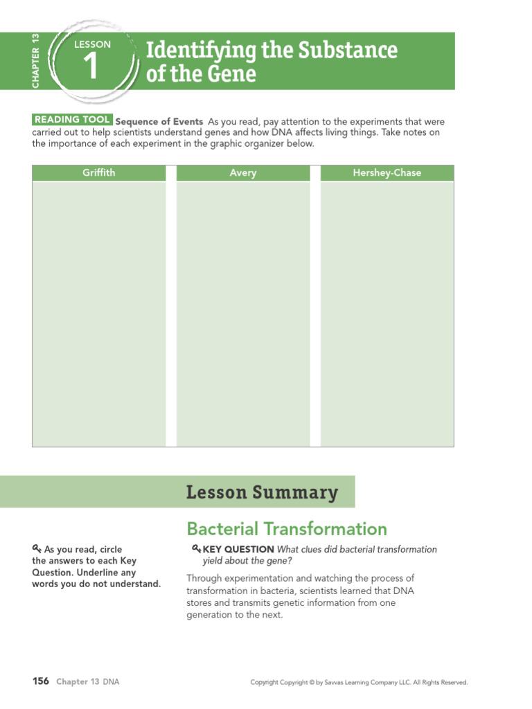 DNA & DNA Replication Worksheets | PDF | Dna | Dna Replication