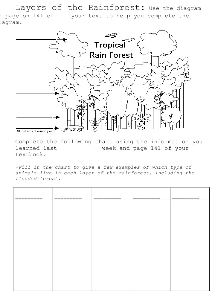 Rainforest Layers and Animal Examples | PDF | Foreign Language Studies