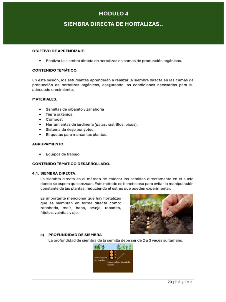 Guía de Biohuerto Escolar - 2025-Modulo 4 | PDF | Siembra | Semilla