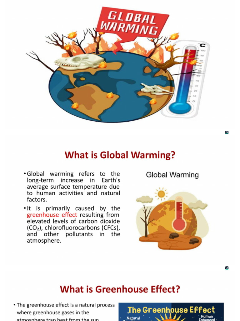 GLOBAL WARMING Final Notes | PDF