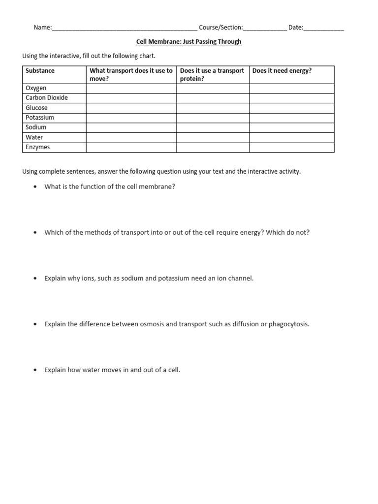 Cell Membrane Interactive | PDF