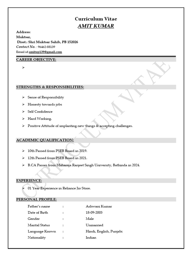 Amit Kumar's Professional CV | PDF