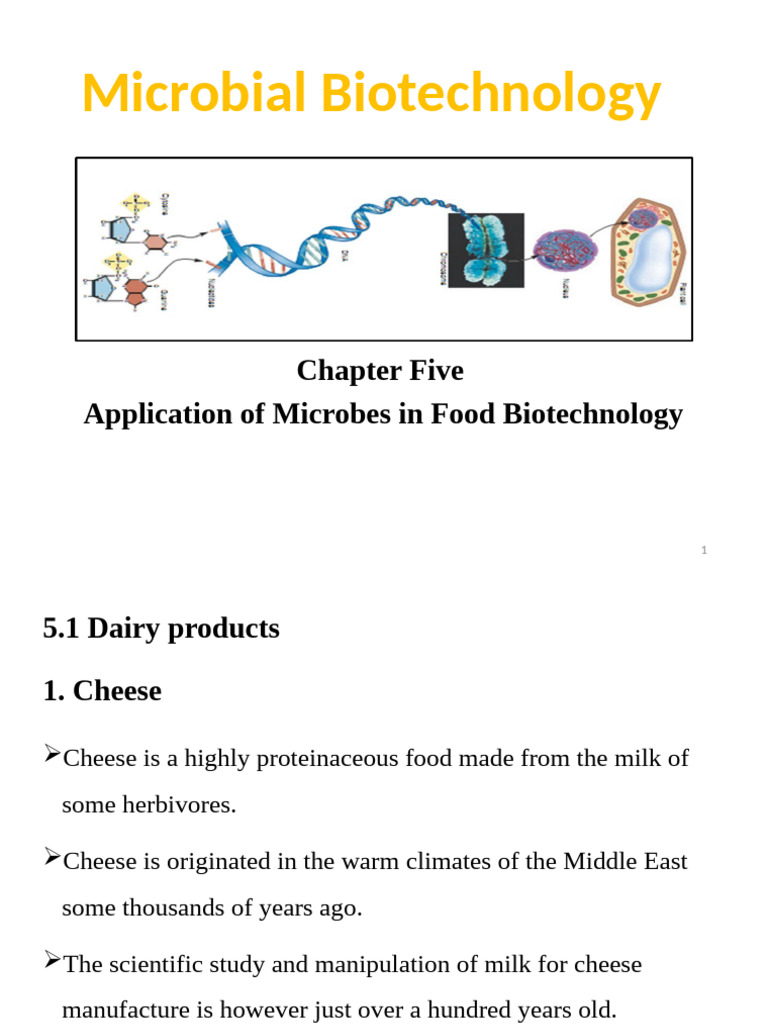 Microbial Applications in Food Biotechnology | PDF | Breads | Yogurt