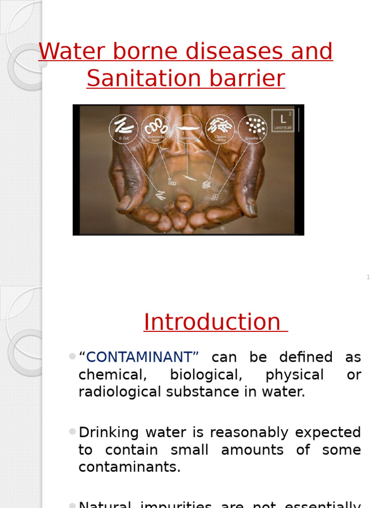 Water Borne Diseases and Sanitation Solutions | PDF | Water ...