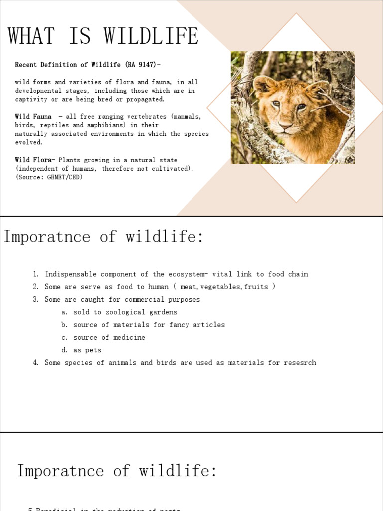 Introduction To Forest Wildlife | PDF | Inbreeding | Plant Breeding