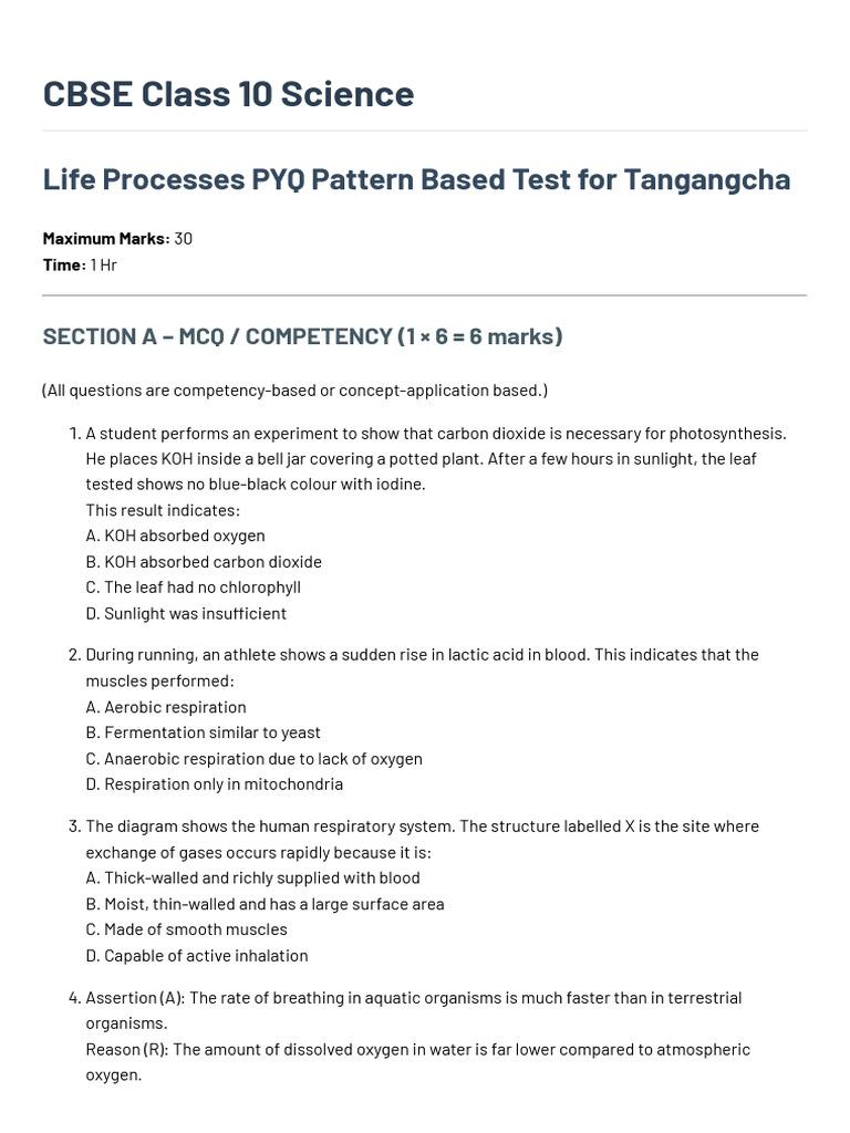 CBSE Class 10 Science Life Processes PYQ Pattern Based Test | PDF ...