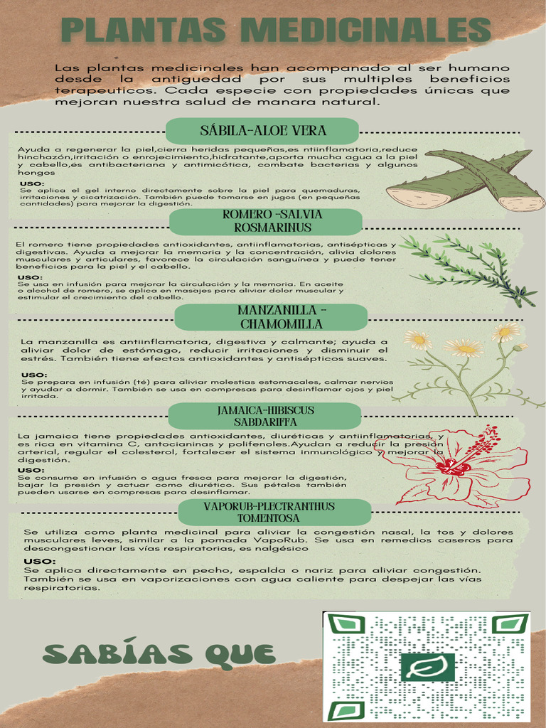 Infografía Cuidado Del Medio Ambiente Ecología Retro Collage Verde ...