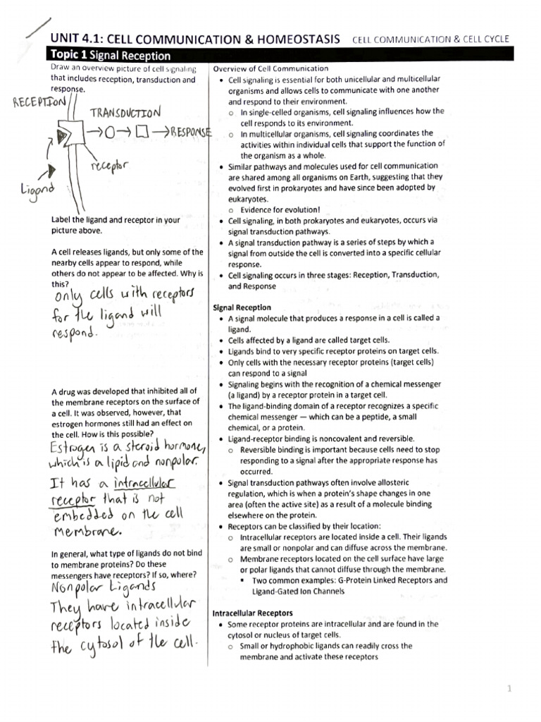 Unit 4.1 Notes KEY 2022 | PDF