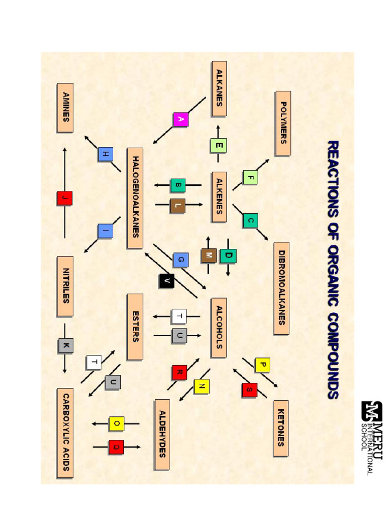 Organic Reaction Pathways | PDF