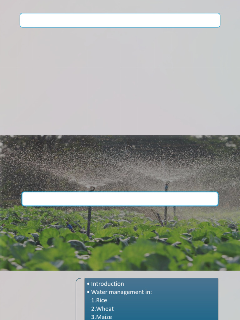 Water Management in Major Field Crops. | PDF | Irrigation | Sowing