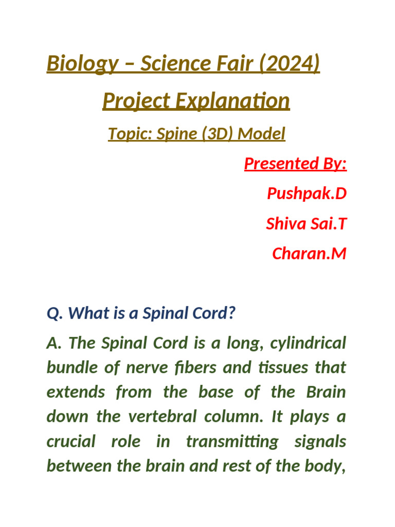 Biology - Science Fair (2024) | PDF | Spinal Cord | Vertebra