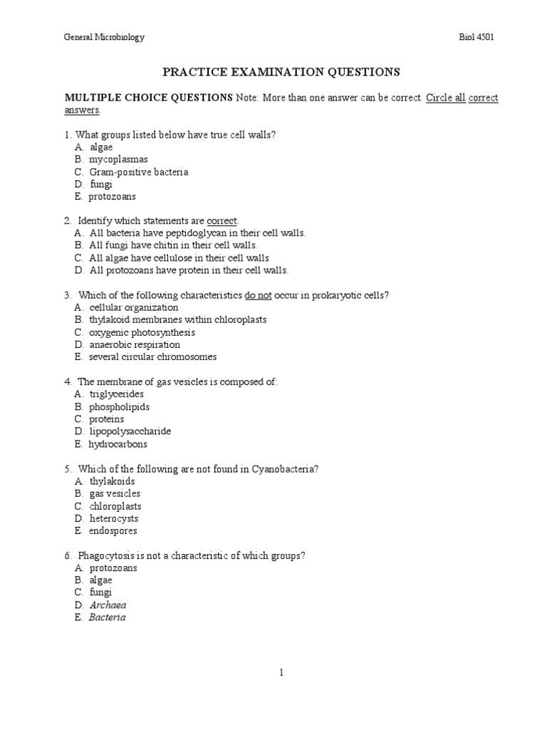 Practice Exam Questions | PDF | Bacteria | Ribosomal Rna