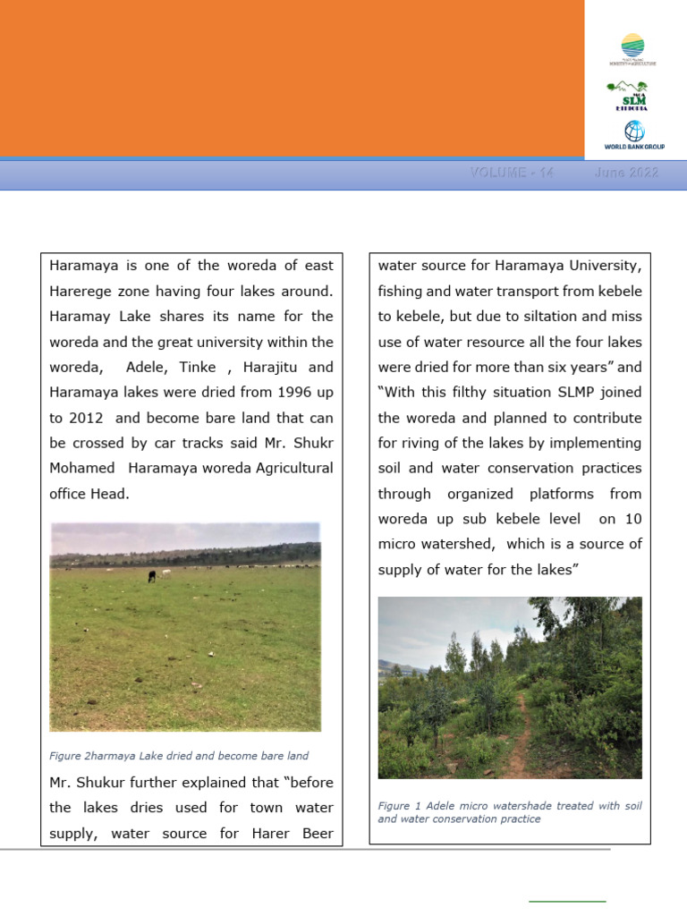 Revival of Haramaya Lakes | PDF | Water Supply | Water And The Environment