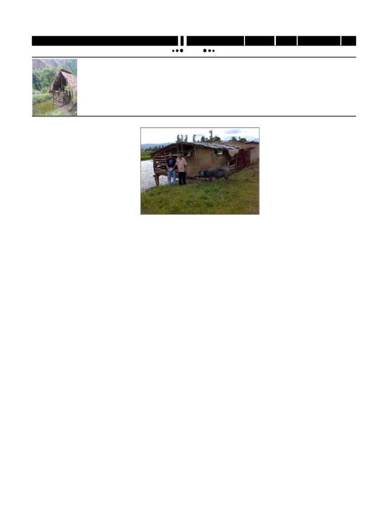 Pig Farming IIF | PDF | Agriculture | Pig