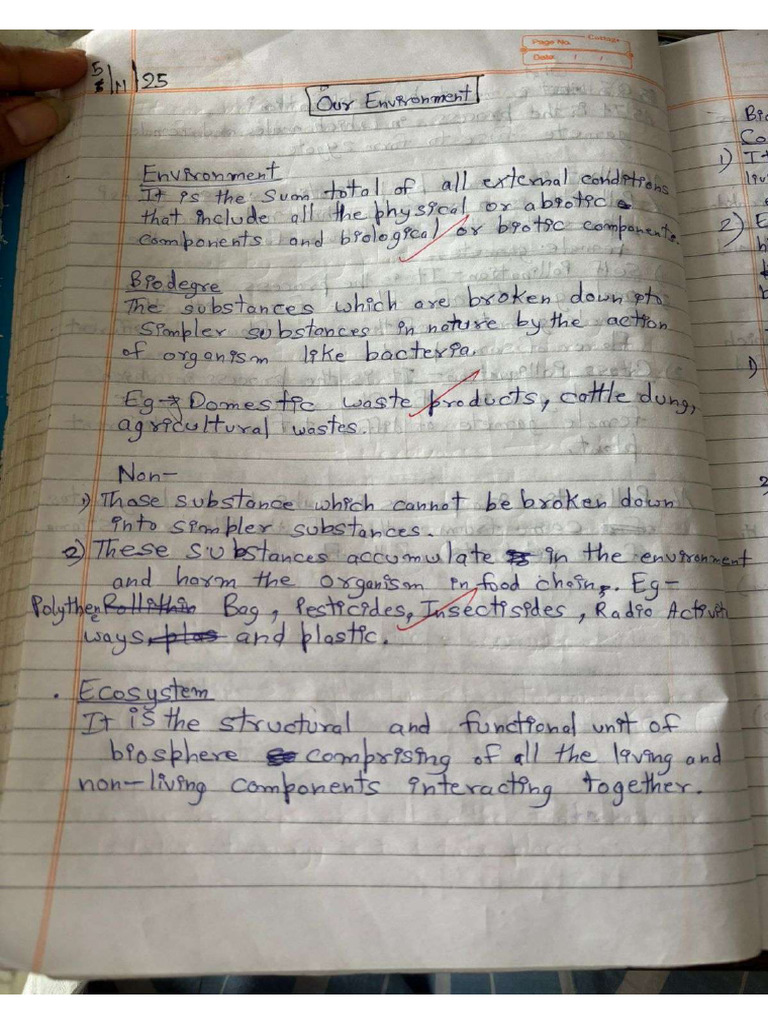 Our Environment Notes | PDF