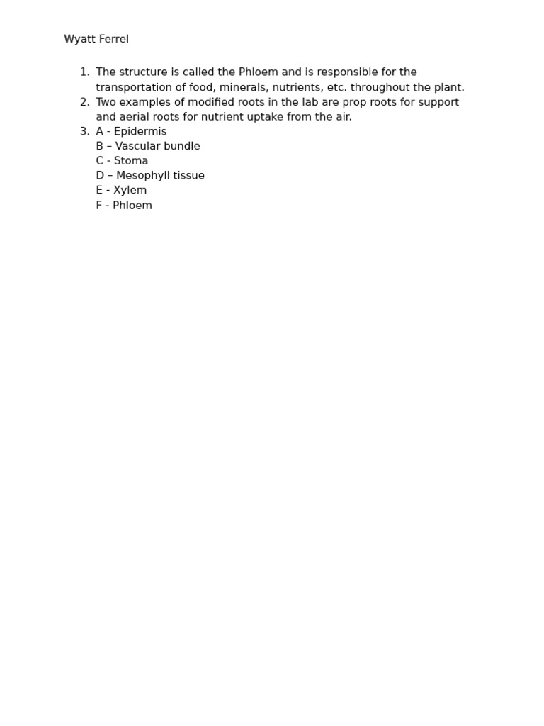 The Structure Is Called The Phloem and Is Responsible For The ...