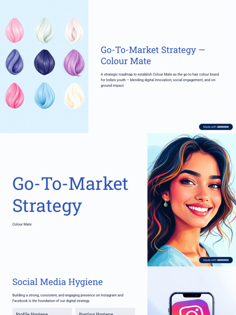 Colour Mate Go-To-Market Strategy | PDF | Brand | Human Communication