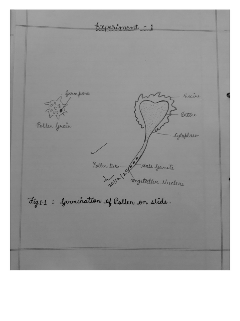 class 12th biology lab manual | PDF
