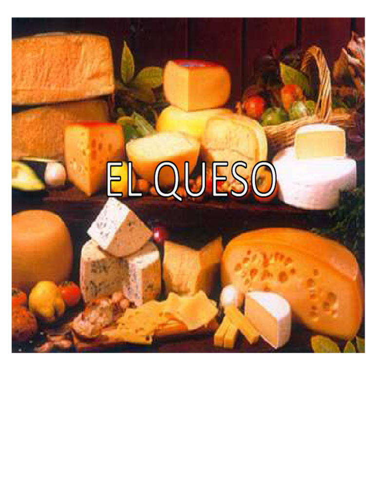 The Cheese Slides | PDF | Cheese | Milk
