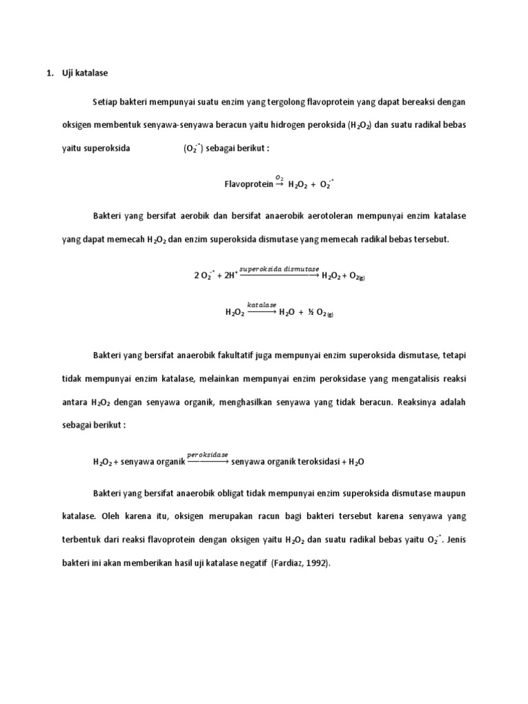 Uji Katalase | PDF