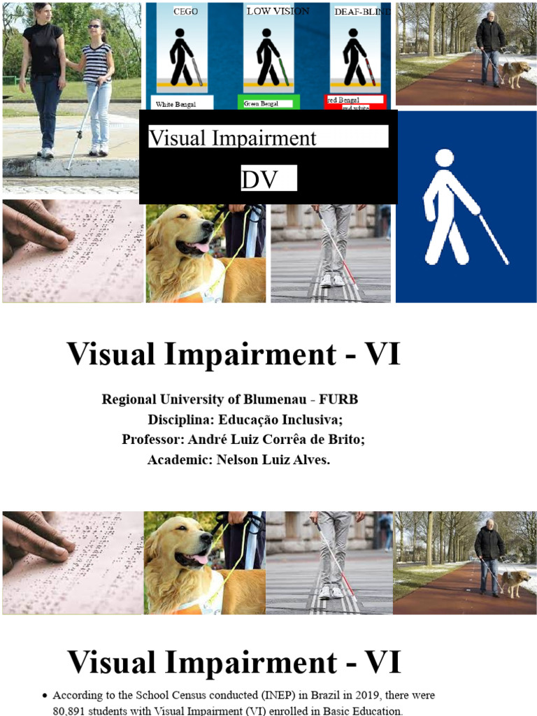 Visual Impairment Education in Brazil | PDF | Visual Impairment ...