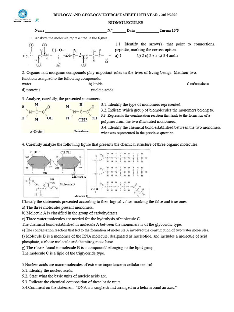 10th Year Biology & Geology Exercise Sheet | PDF | Nucleic Acids ...
