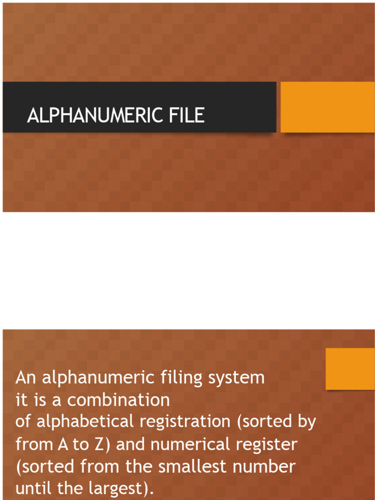 ALPHANUMERIC FILE | PDF