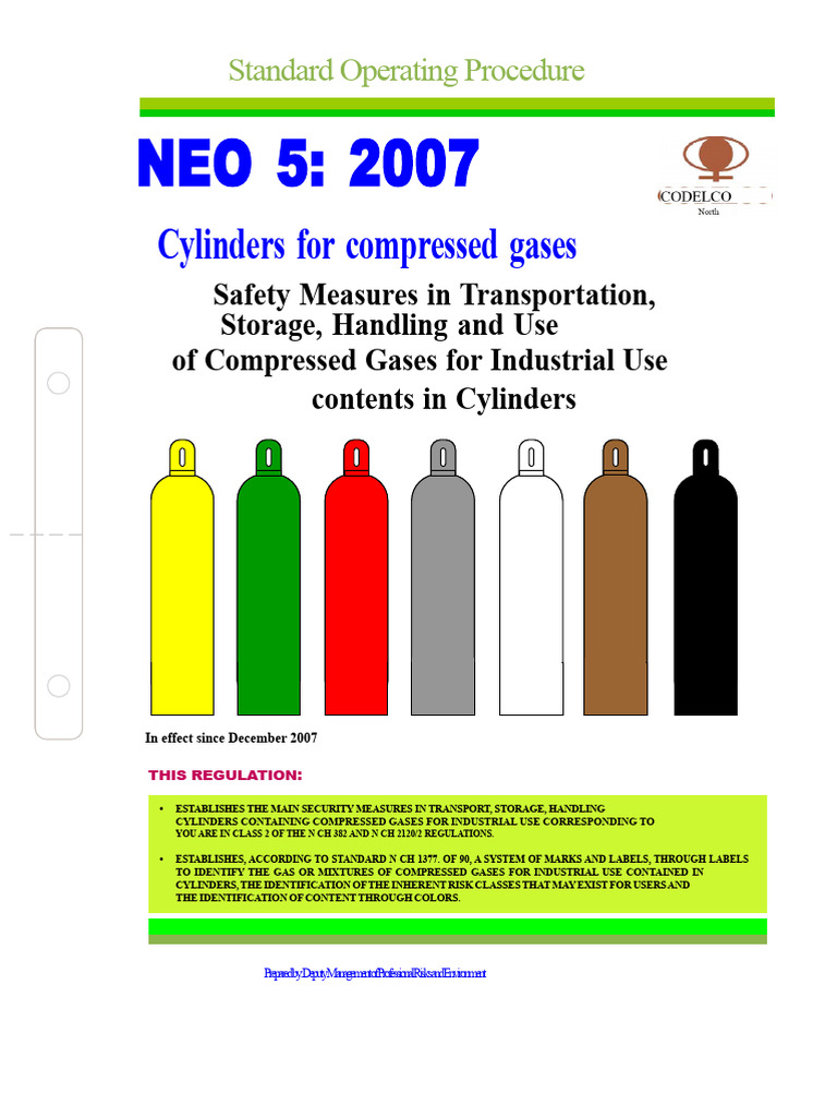 Neo05-Cylinders For Compressed Gases | PDF | Gases | Valve