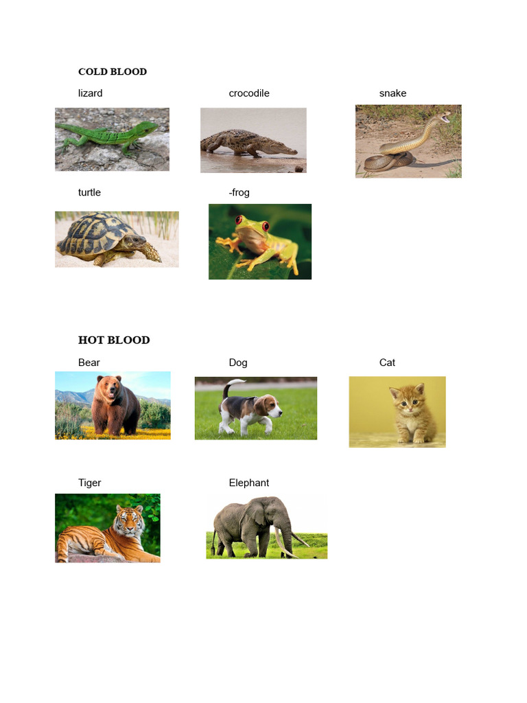 Cold-Blooded and Warm-Blooded Animals | PDF