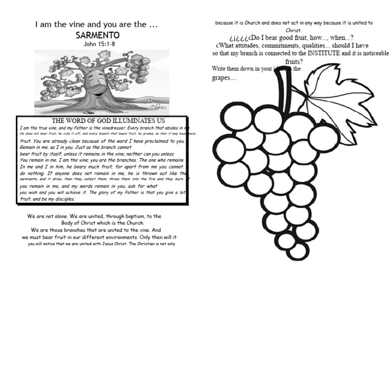 Catechesis - The Vine and the Branches | PDF | Jesus | Christian Belief ...
