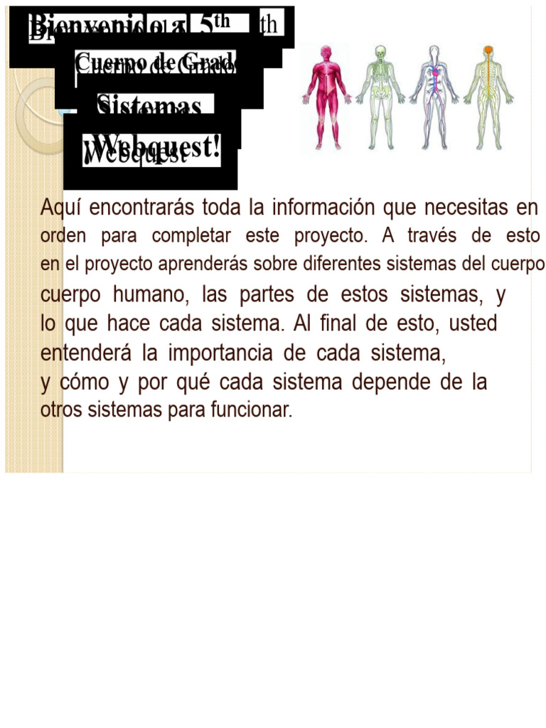 Proyecto sobre Sistemas del Cuerpo Humano | PDF