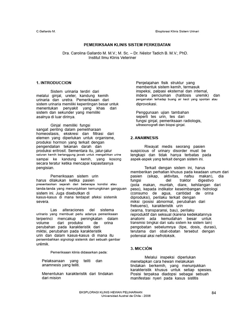 Pemeriksaan Klinis Sistem Urinaria | PDF