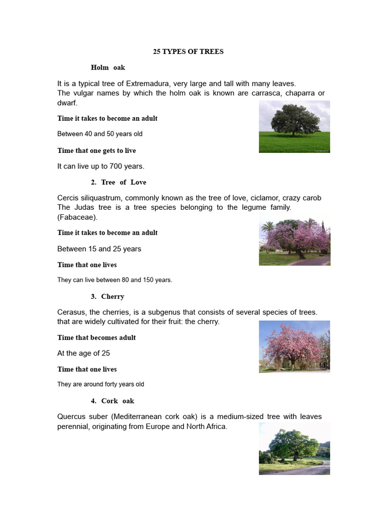 25 Types of Trees | PDF | Oak | Trees