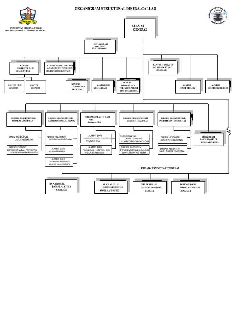 Organigram Kesehatan Callao 2023 | PDF