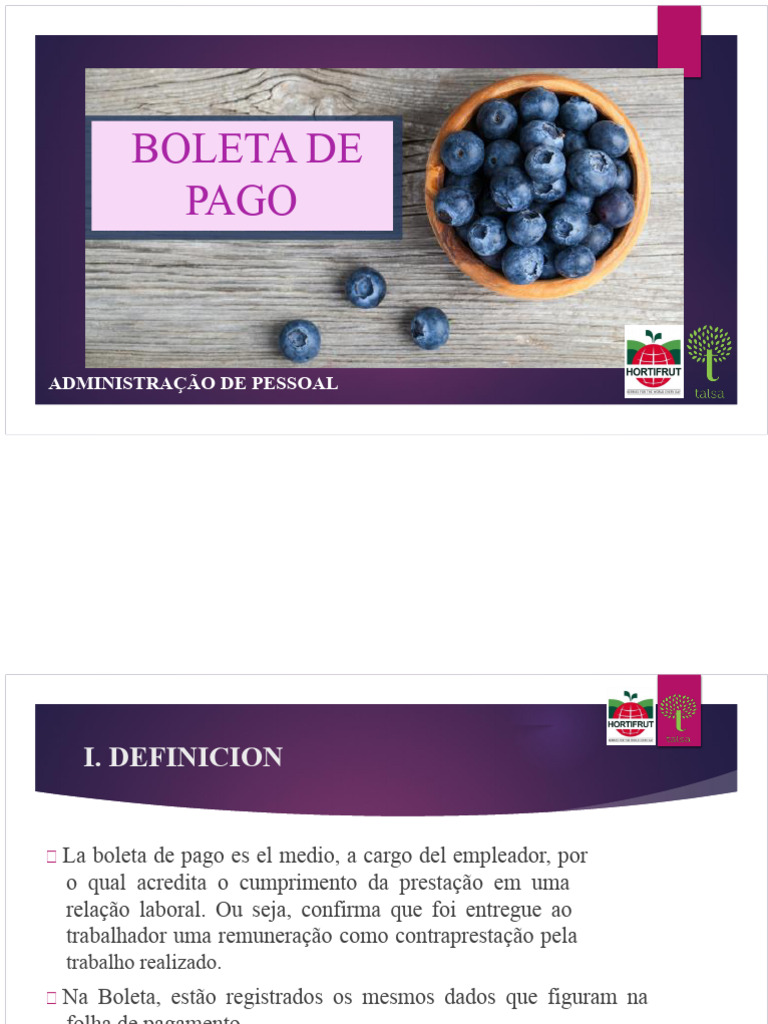 Guia Completo da Boleta de Pago | PDF | Business