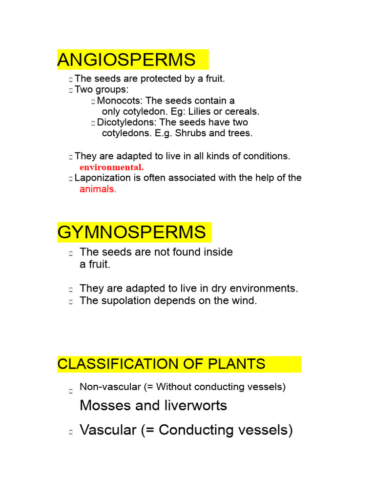 ANGIOSPERMS.docx | PDF