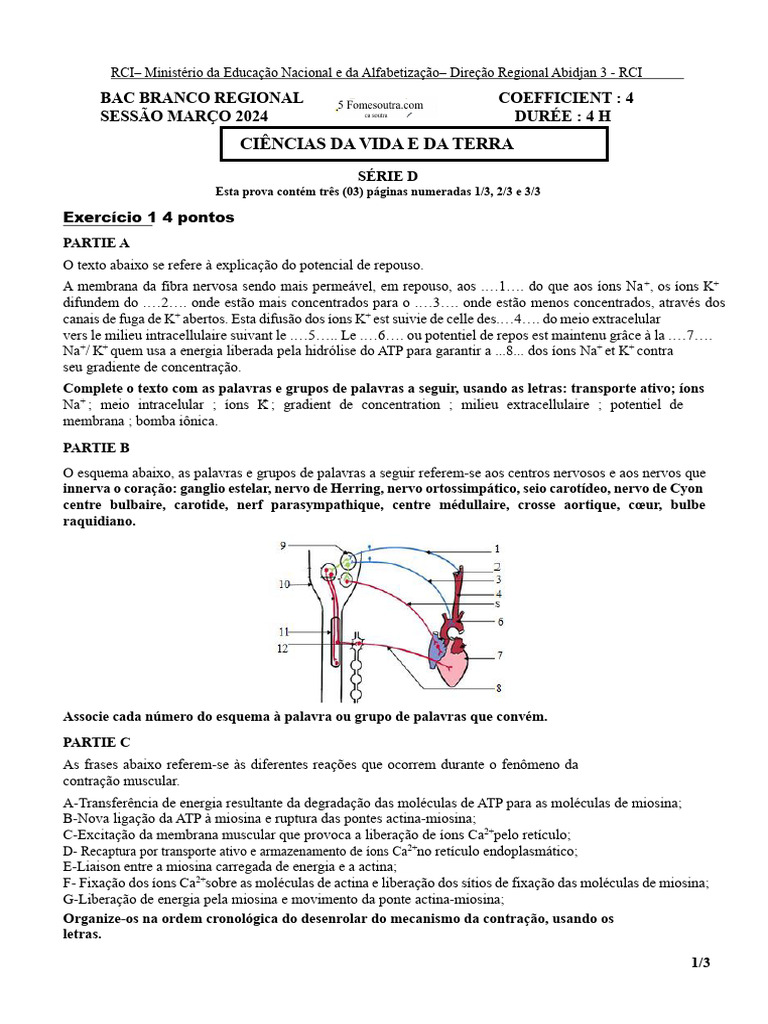 BAC Branco 2024 SÉRIE D SVT Dren Abidjan 3 (Cocody) | PDF | Trifosfato ...