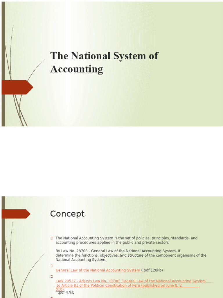 The National Accounting System | PDF | Accounting | National Accounts