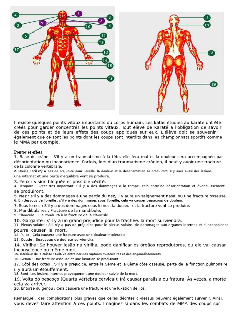 Points vitaux en karaté et MMA | PDF | Traumatisme crânien