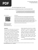 Guía fácil Neodent Helix GM Narrow | PDF | Implante dental | Cirugía