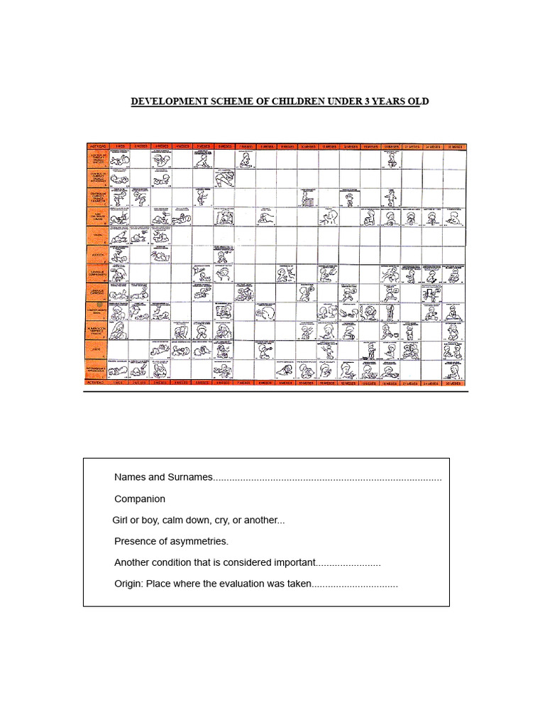 Outline of the Development of a Child Under 3 Years | PDF