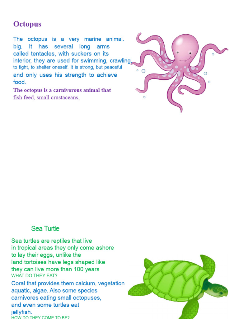 Marine Animals | PDF
